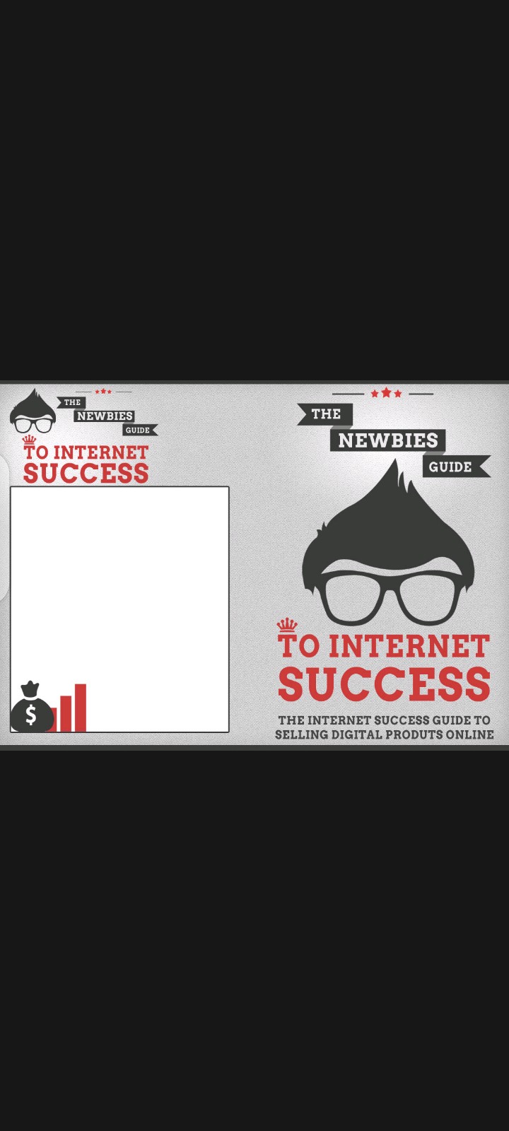 Buy The Newbies Guide To Internet Success by Okah James on Selar