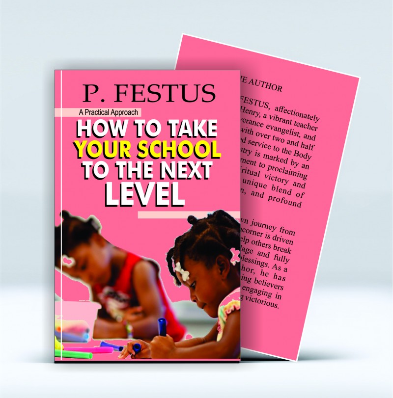 Buy HOW TO TAKE YOUR SCHOOL TO THE NEXT LEVEL: A PRACTICAL APPROACH by ...