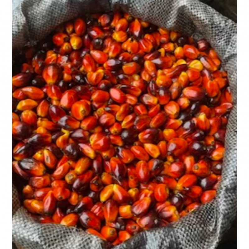 Buy Banga Palm Fruit by Okowe Farms on Selar