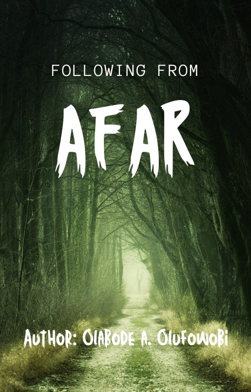 Buy FOLLOWING FROM AFAR by Olabode Olufowobi on Selar