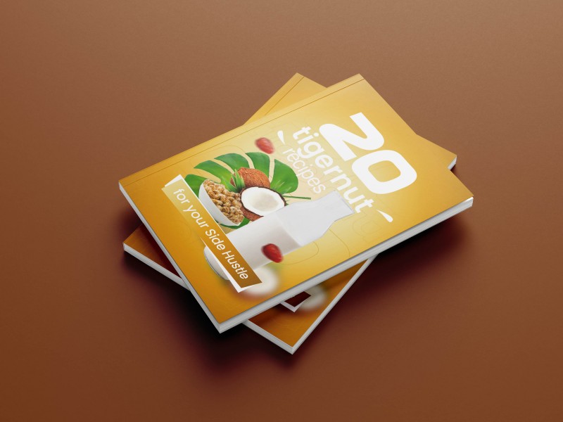 Buy Tigernut and Smoothies recipe for side hustle and parties by ...