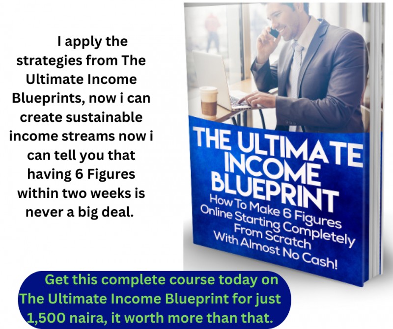 Buy Ultimate Income Blueprint by Ahava-olas Digital on Selar