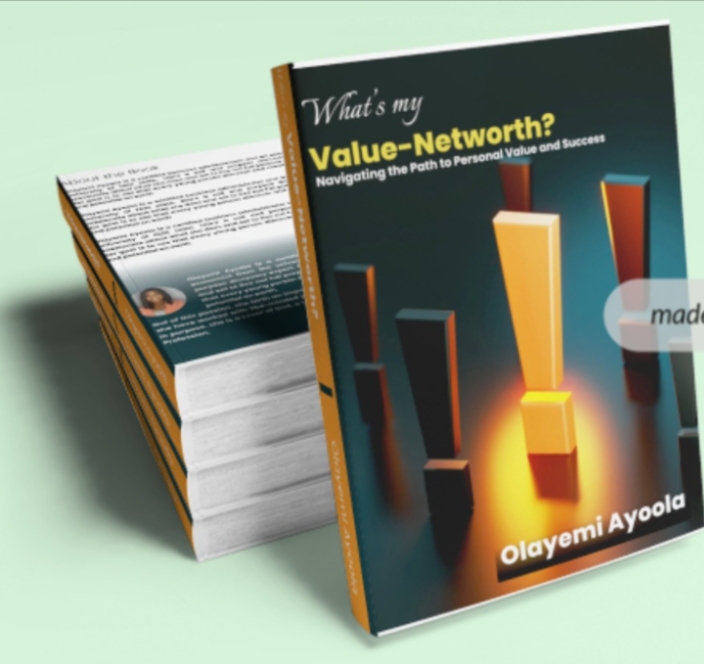 Buy What's My Value- Networth? by Olayemi Ayoola on Selar
