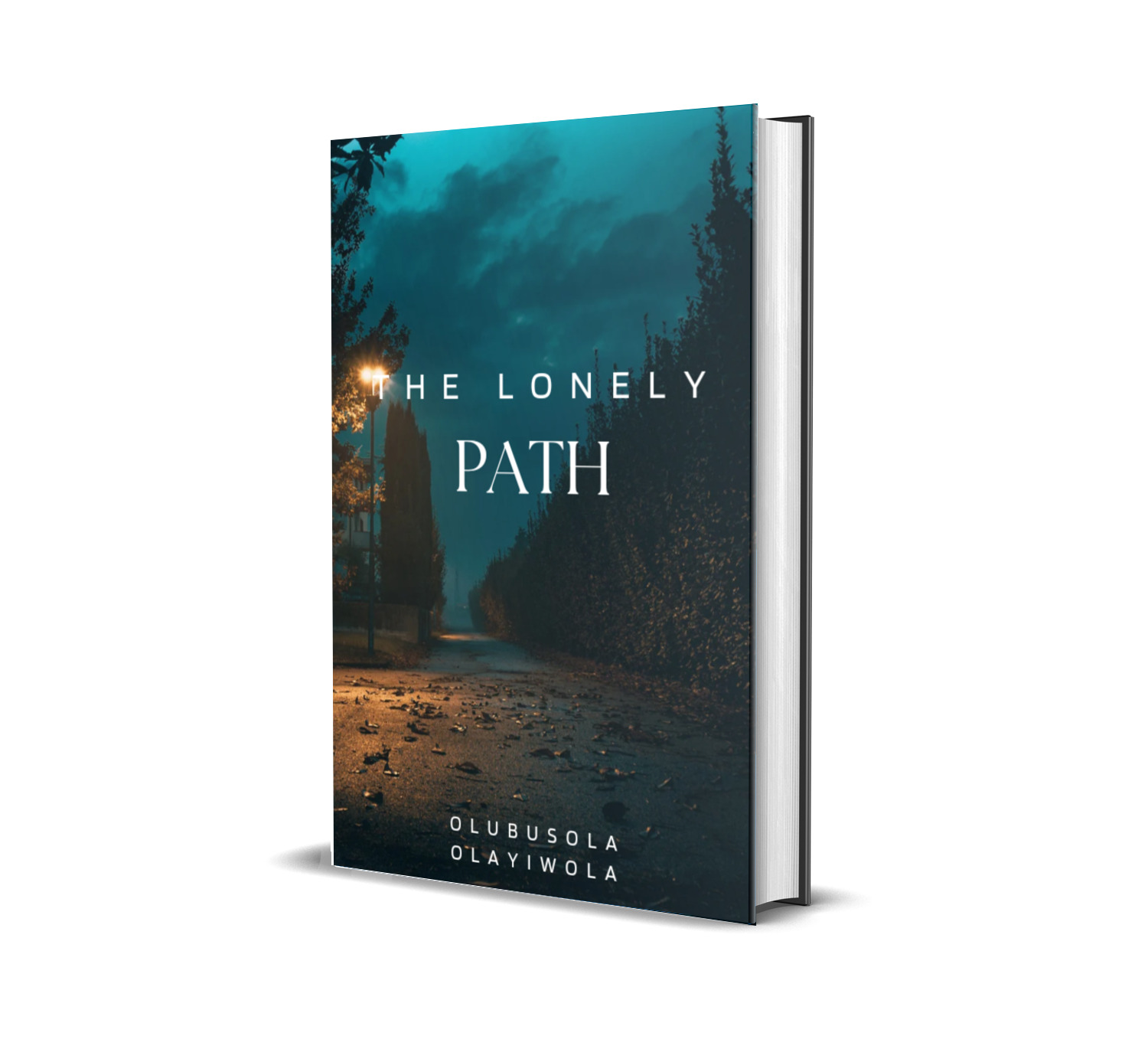 Buy THE LONELY PATH by Olubusola Olayiwola on Selar
