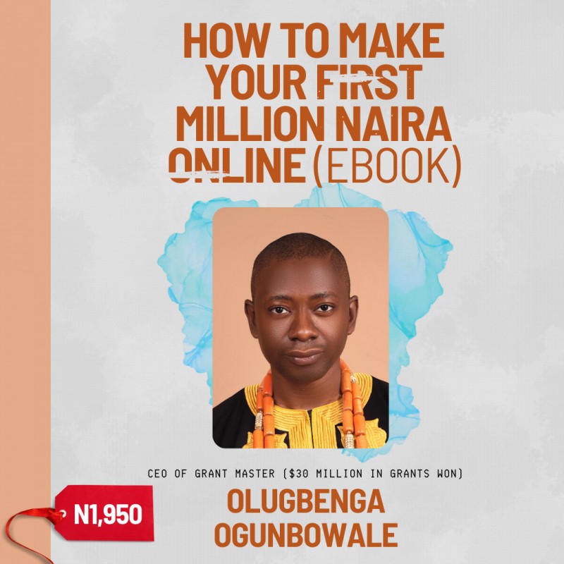 Buy How to Make Your First Million Naira Online by Olugbenga Ogunbowale ...