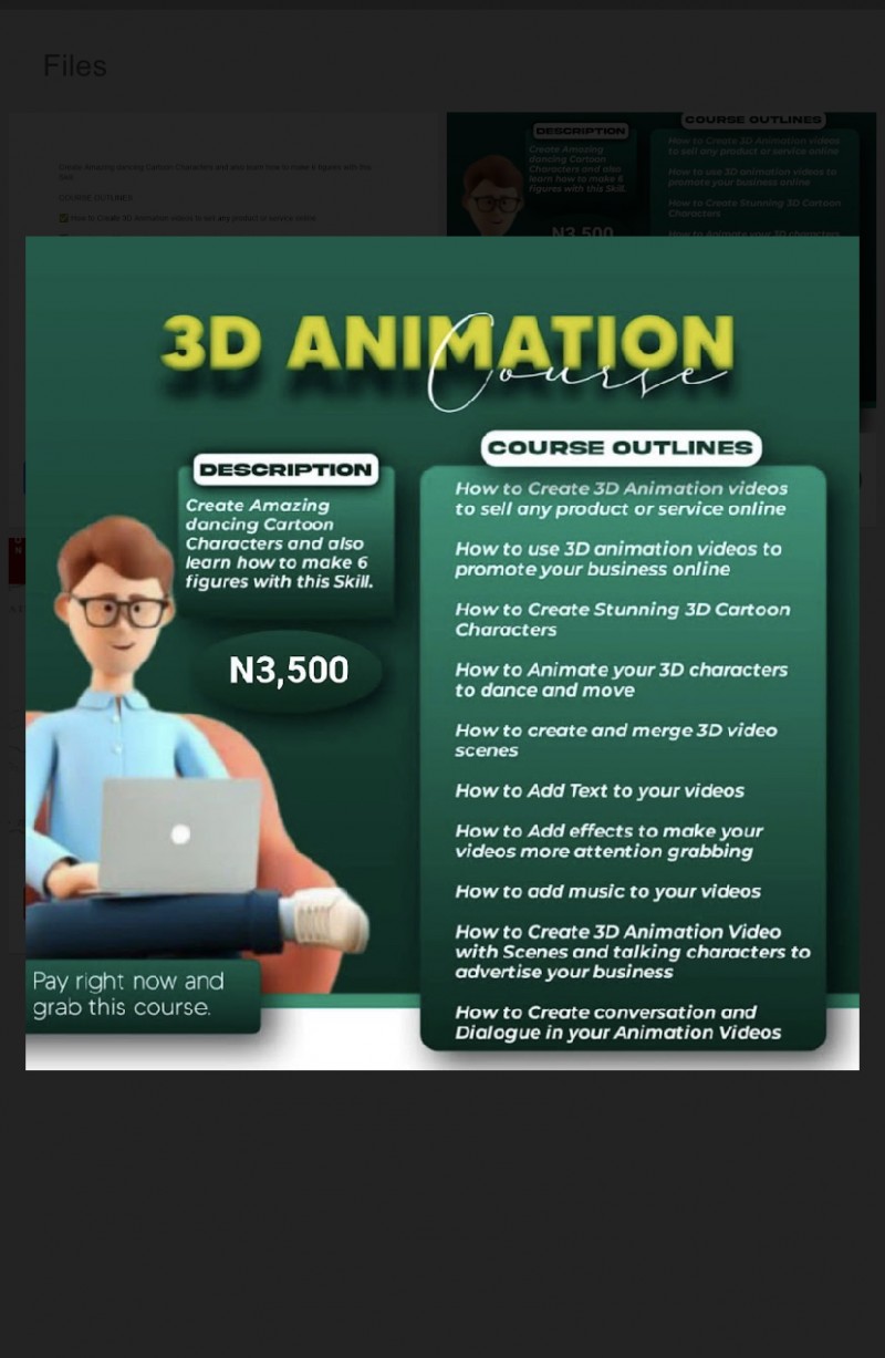 Buy 3D ANIMATION COURSE by Oluwatomisin Godwin on Selar