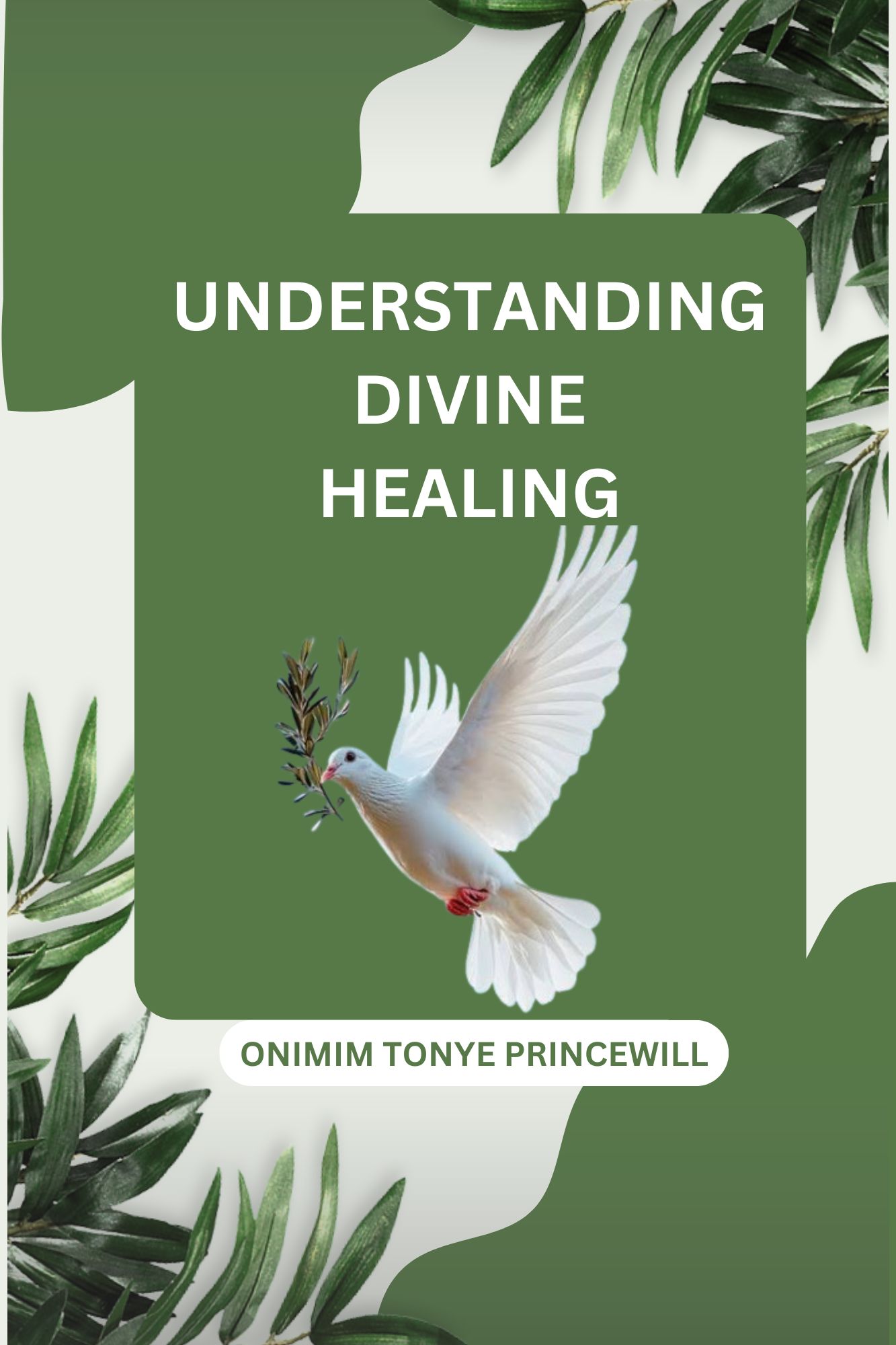Buy Understanding Divine Healing by Onimim Princewill on Selar