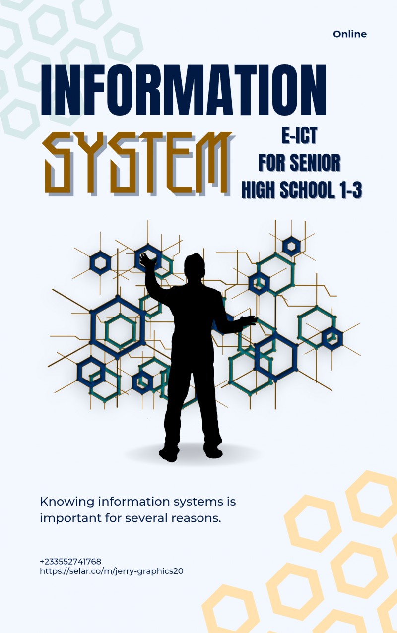 Buy ELECTIVE ICT FULL NOT (THEORY Ñ PRACTICAL) by Online Influencer on Selar