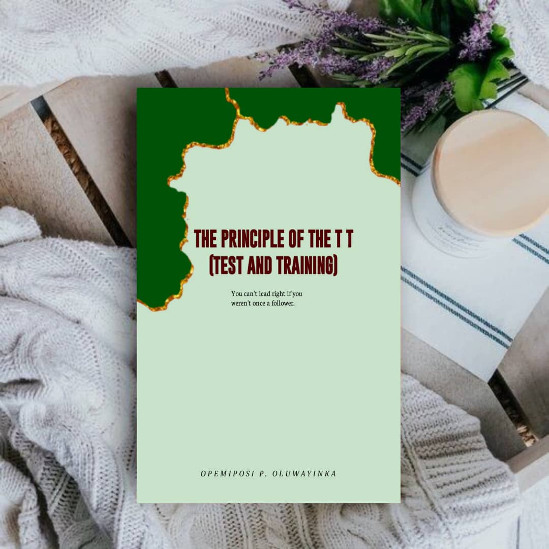 Buy THE PRINCIPLE OF THE TT (TEST AND TRAINING) by Opemiposi Peace on Selar