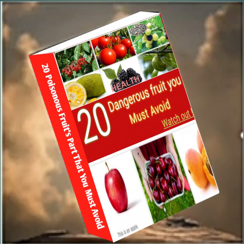 Buy eBook (20 dangerous fruits that you must avoid) by Brian Junior on Selar