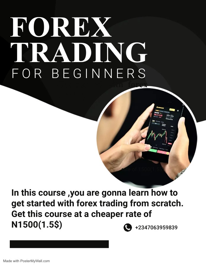 Buy Forex trading for beginners by Paul tudor Jones on Selar