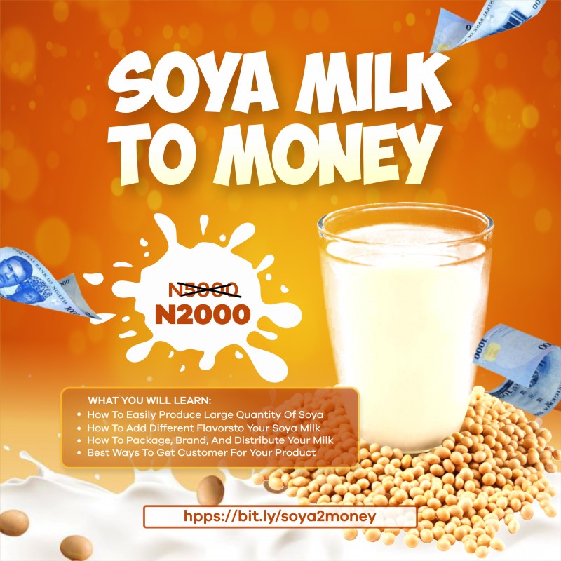 Buy Soyamilk To Money by PRINCESS UMEADI TOCHUKWU on Selar