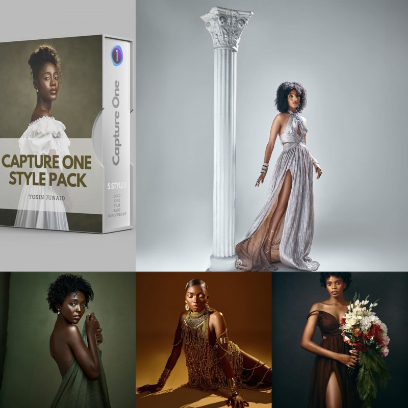Buy Capture One Style Pack by Tosin Junaid by Pro Digital Resource Store on Selar