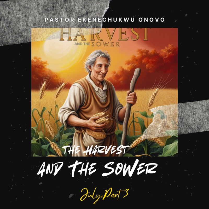 Buy The Sower And The Harvest: Battle Seed ( July Part 3 2024) by Ekene ...