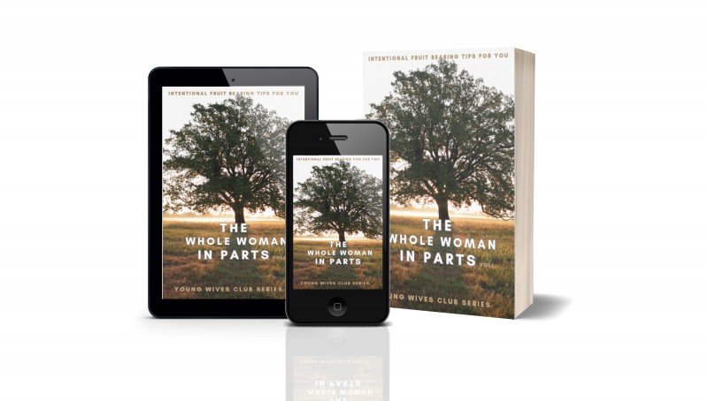 Buy The Whole Woman in Parts vol1 YWC by Ruth I Kingsley on Selar