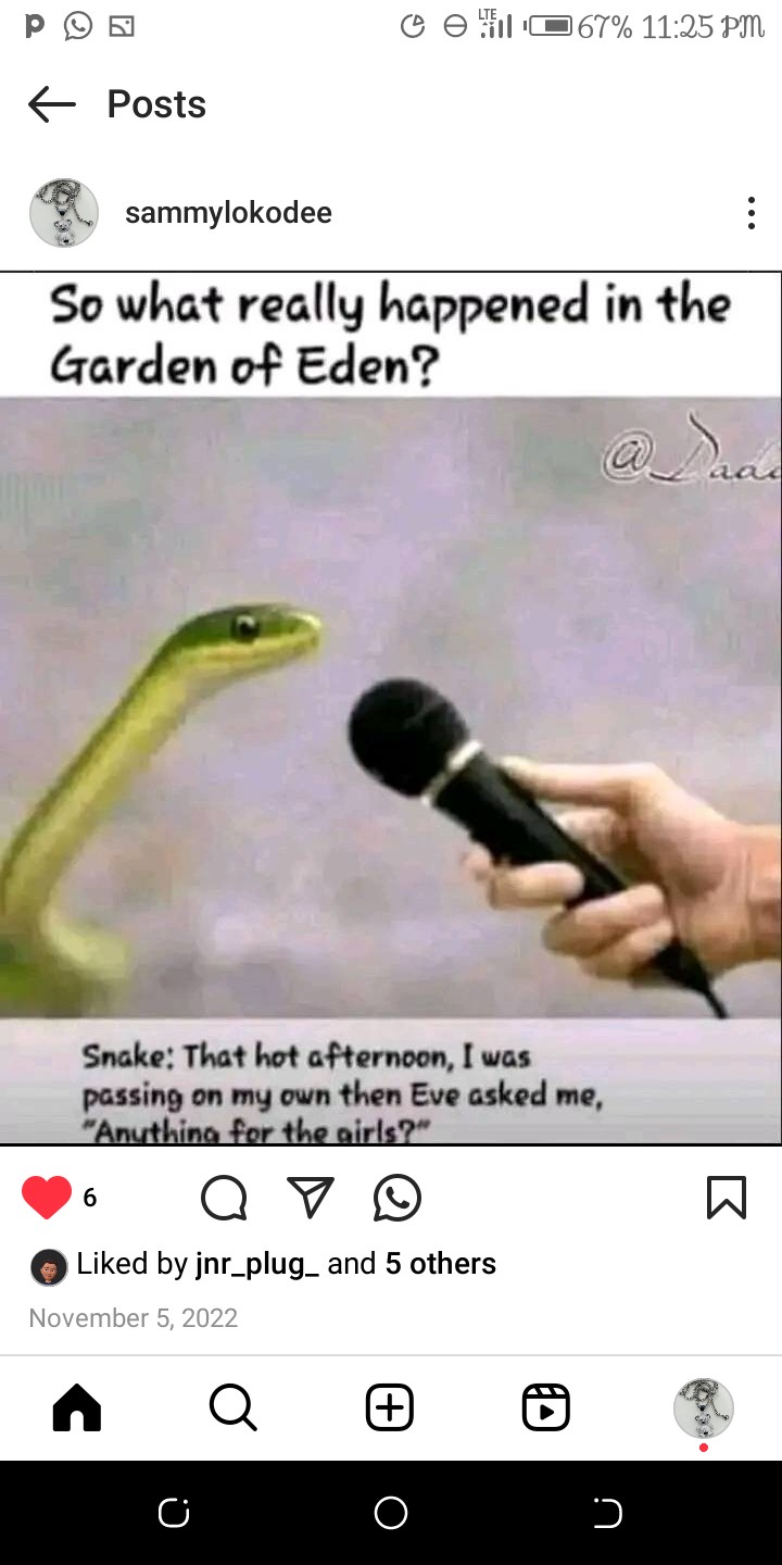 Buy Garden of eden by Samuel Christopher on Selar