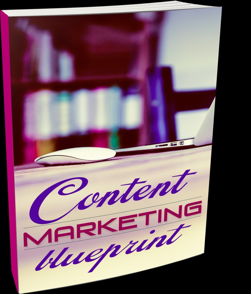 Buy THE CONTENT MARKETING BLUEPRINT by COACH on Selar