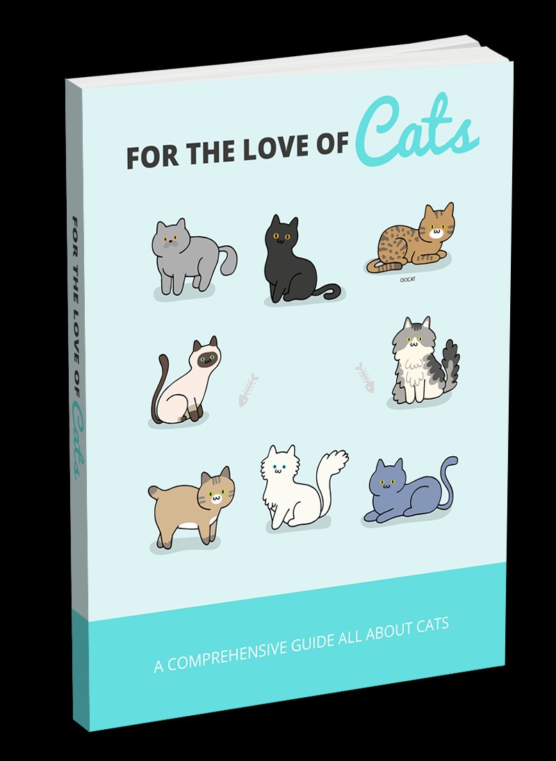 Buy A Comprehensive Guide: All about Cat by Sarah Ukaegbu on Selar.co