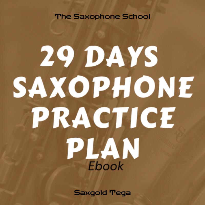 Buy 29 Day Saxophone Practice Plan by shirley frank-ibi on Selar
