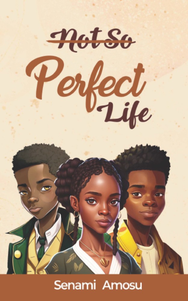 Buy Not So Perfect Life by SENAMI AMOSU on Selar