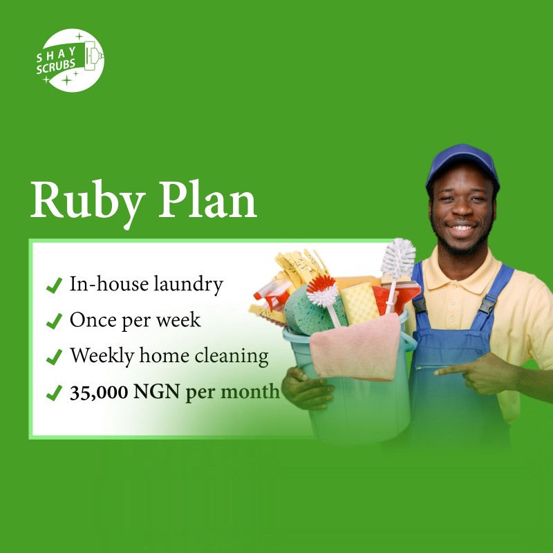 Buy RUBY PLAN by ShayScrubs on Selar