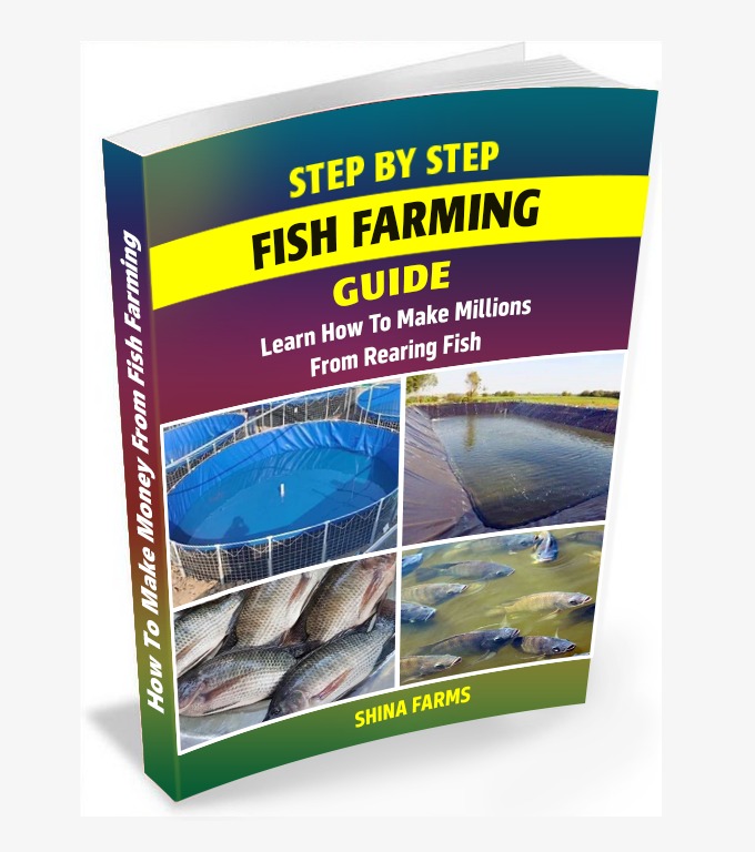 Tilapia Farming Guide Fish Farming Farm Africa