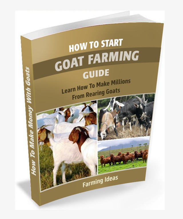 Buy Goat Farming Manual by Shina Farms on Selar