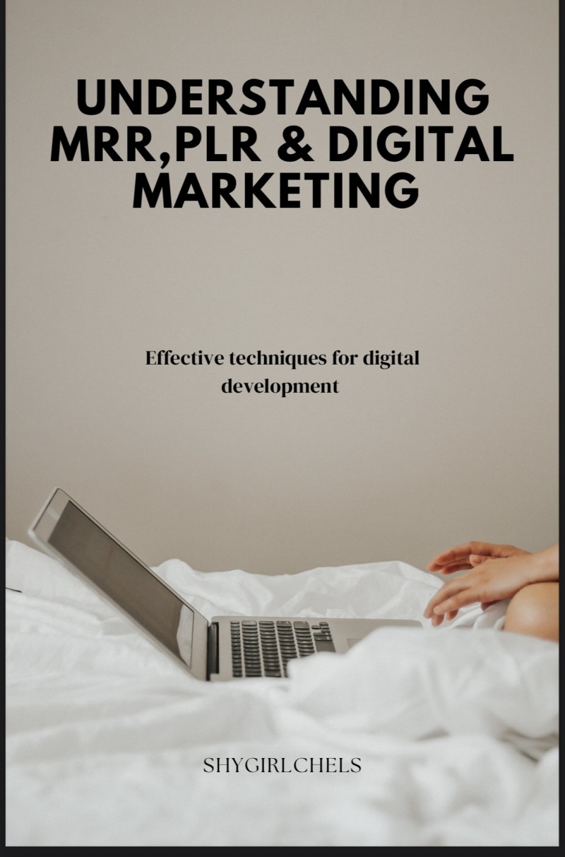 Get Understanding MRR,PLR & Digital Marketing by shygirl chels on Selar
