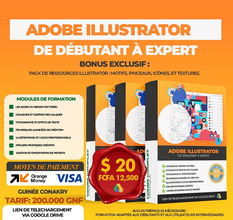 Buy Formation Complète Adobe Illustrator : Maîtrisez le Design Vectoriel pour Réaliser vos ...