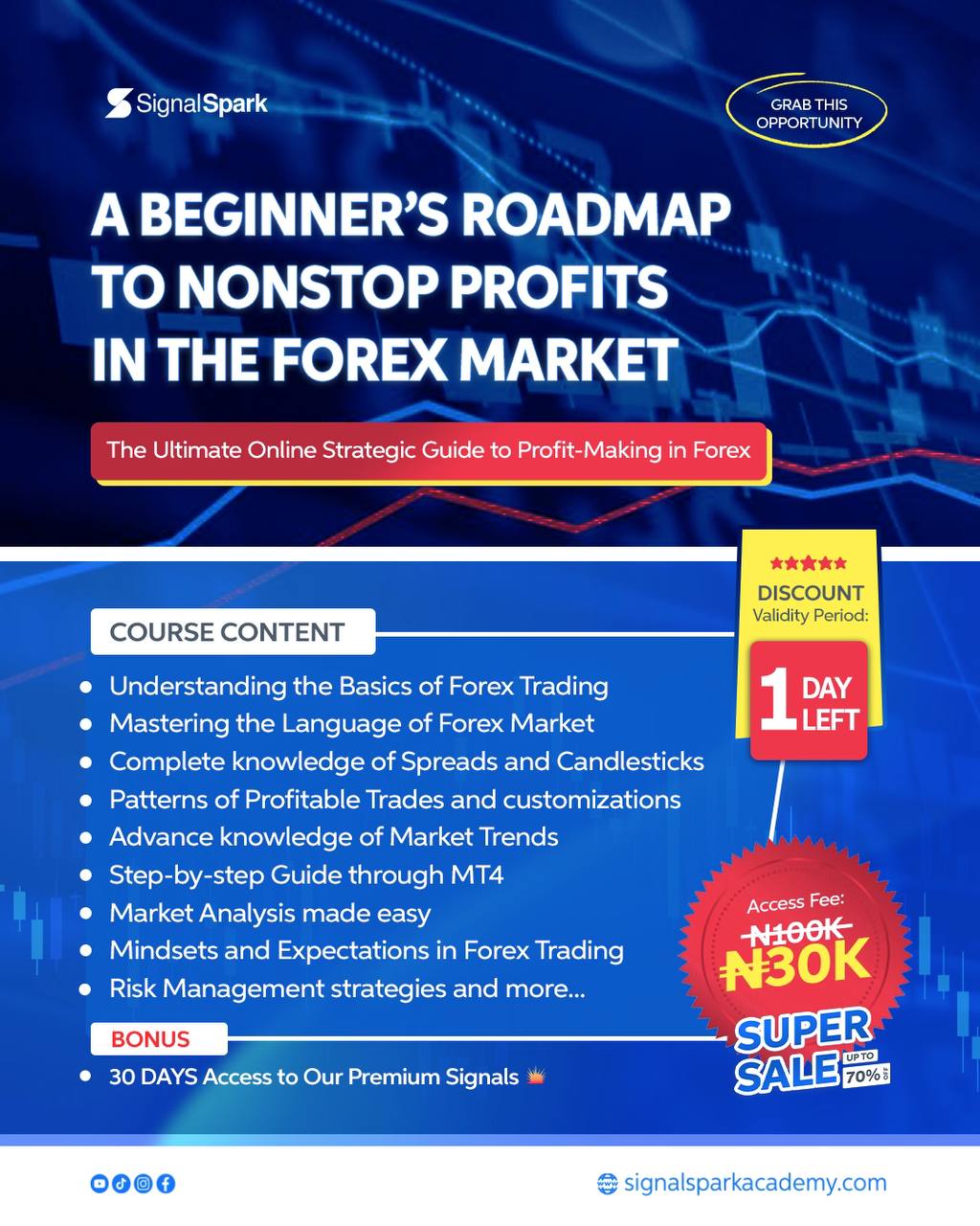 Buy Online Forex Masterclass : Beginners to Advanced Traders by Signal ...