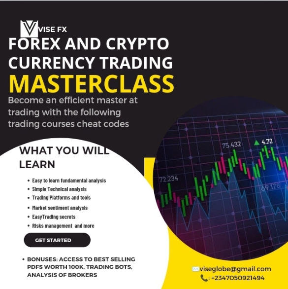 Buy FOREX MASTER CLASS BUNDLE WITH OVER 1000+ COURSES by Vzetech on Selar
