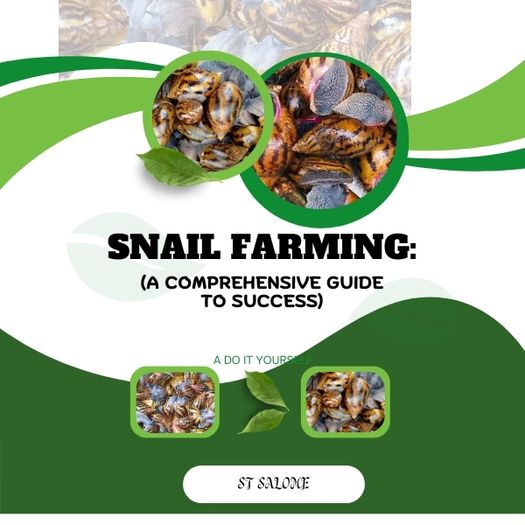 Get SNAIL FARMING: A COMPREHENSIVE GUIDE TO SUCCESS by ST Salome Empire on Selar