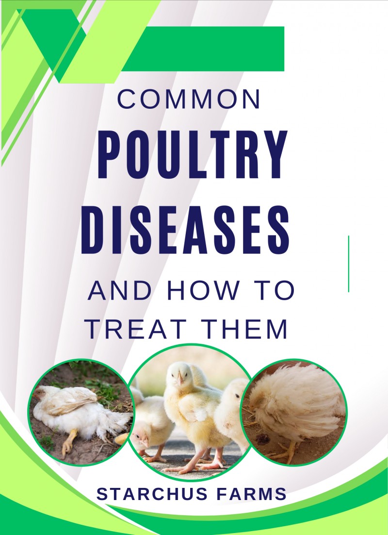 Buy Common Poultry Diseases and How to Treat Them by Starchus Farms on ...