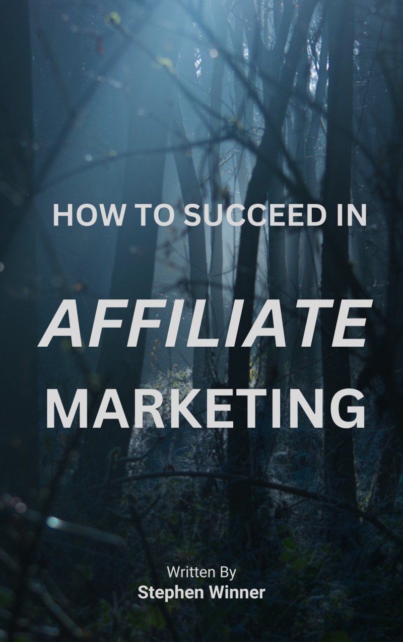 Buy HOW TO SUCCEED IN AFFILIATE MARKETING by Stephen Winner on Selar