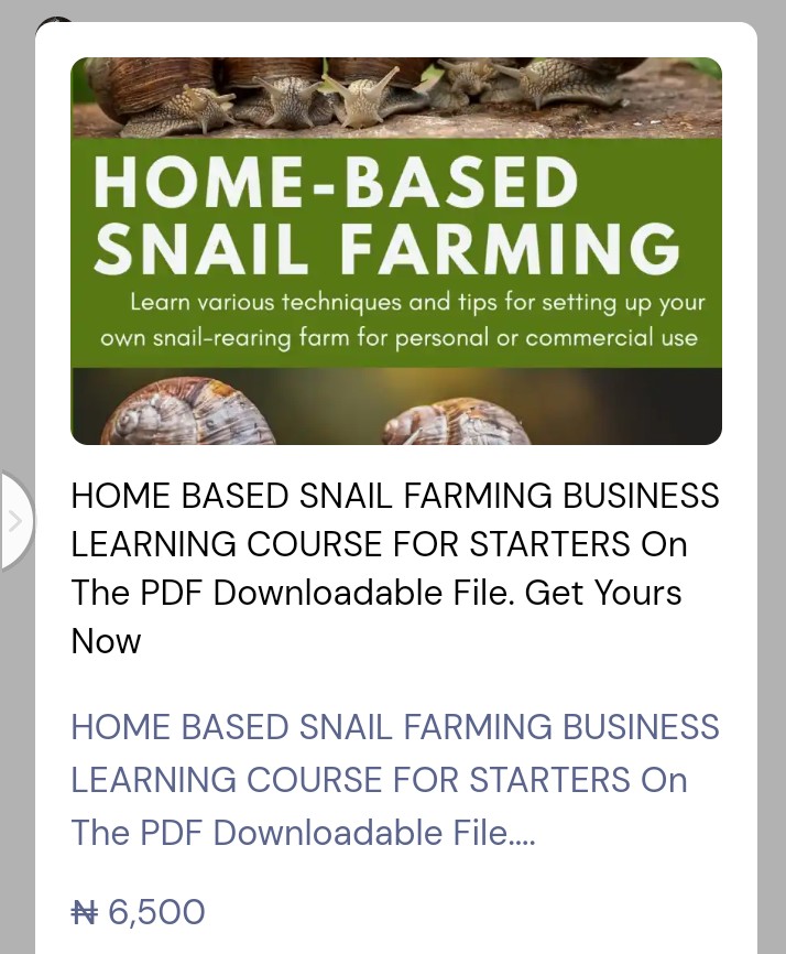Buy Home based snail farming business learning course for starters by Steve Bassey on Selar
