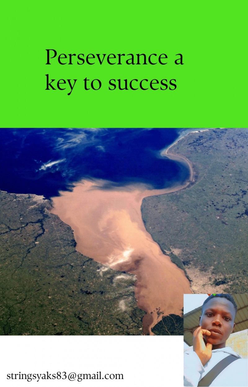 Buy Perseverance a key to success by MattYaks.com on Selar