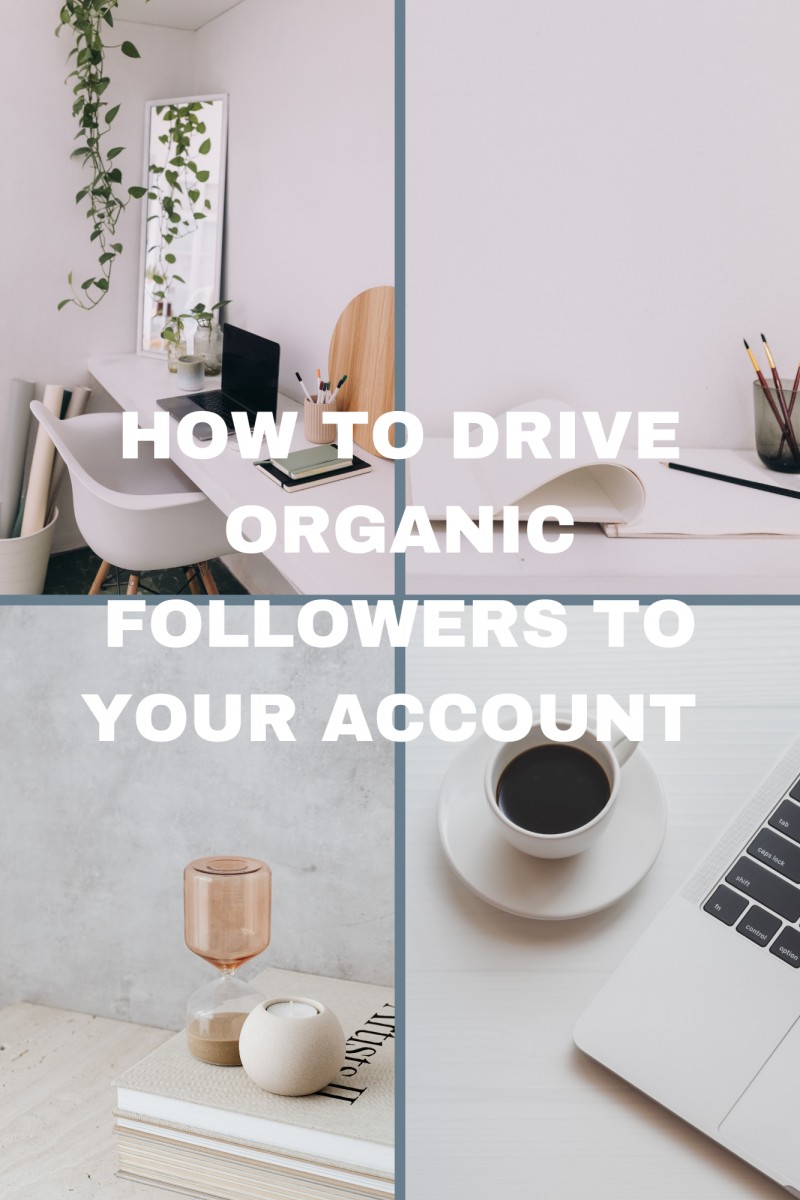 Buy How to drive organic followers to your account by Taiwo Omisore on ...