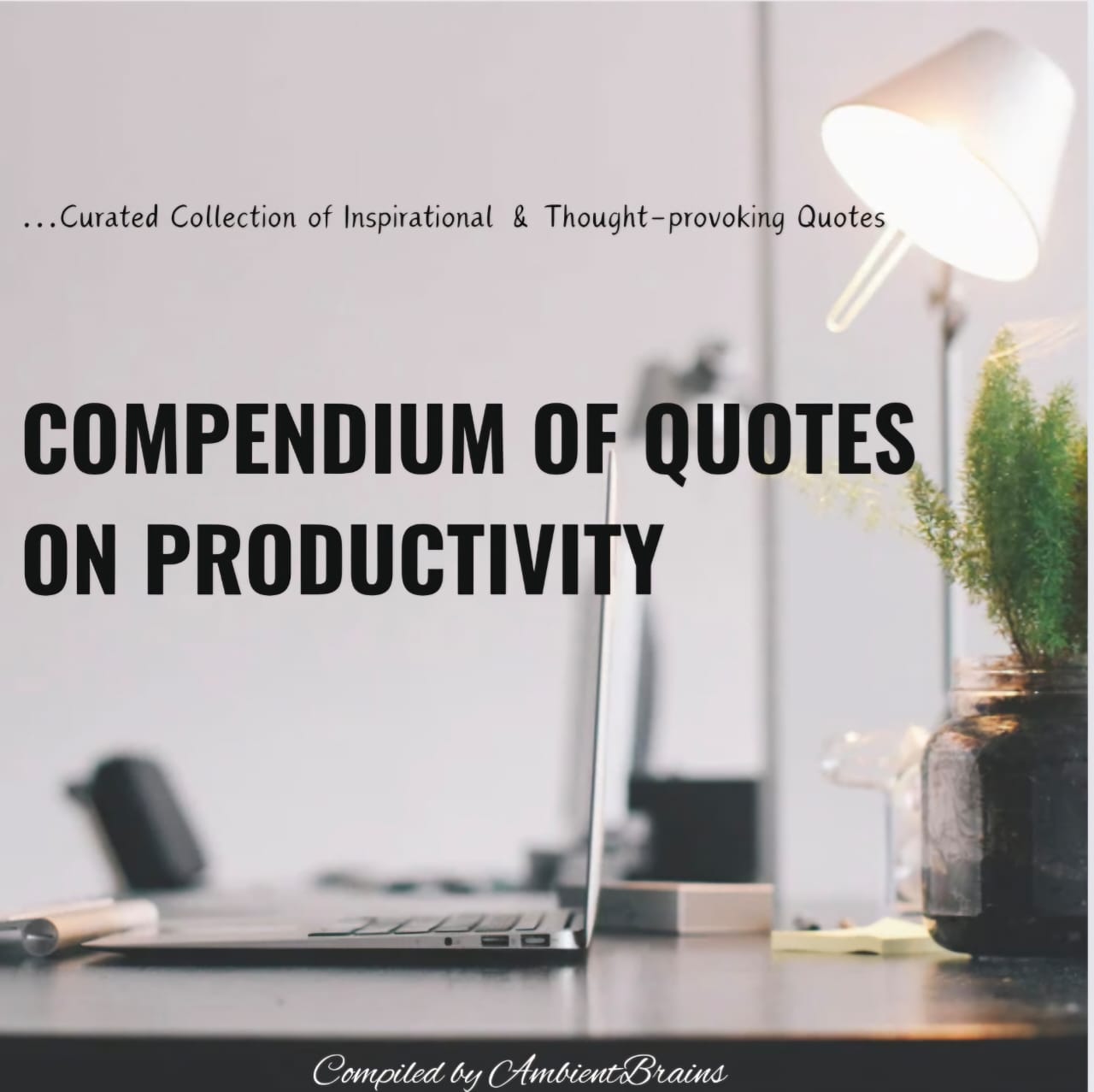 Buy Compendium of Quotes on Productivity by on Selar