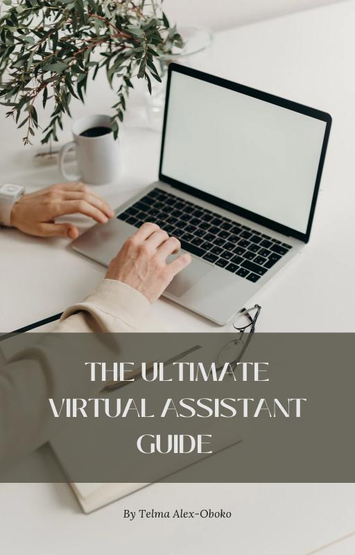Buy THE ULTIMATE VIRTUAL ASSISTANT GUIDE by Telma Alex on Selar