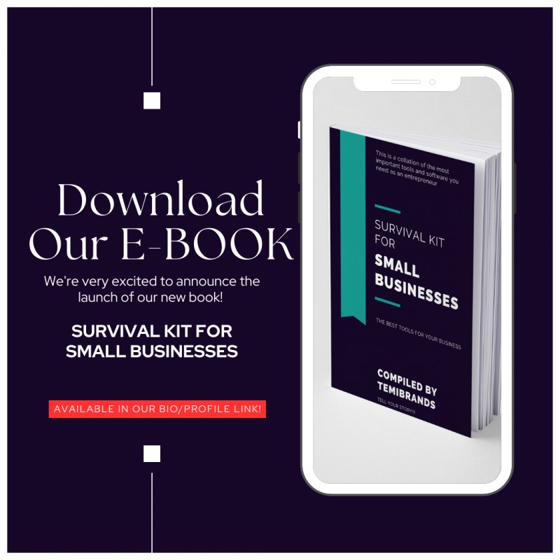 Get SURVIVAL KIT FOR SMALL BUSINESSES by Temi Durodola on Selar