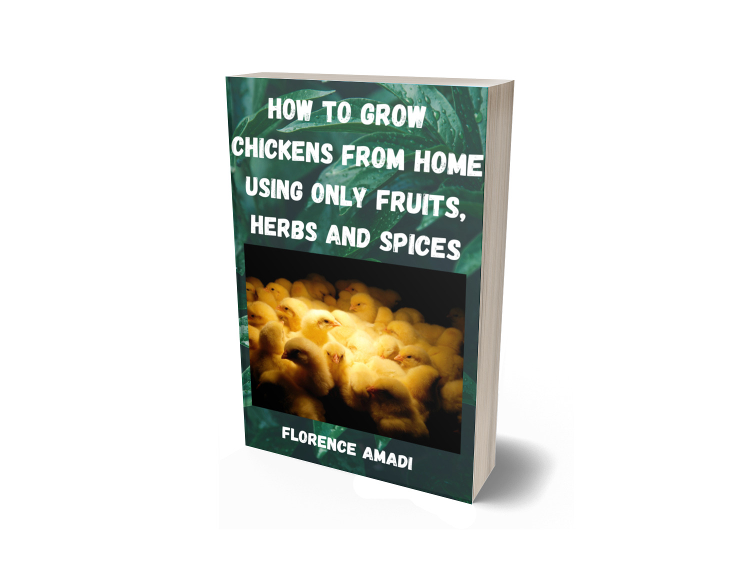 Buy HOW TO GROW CHICKENS FROM HOME USING ONLY FRUITS,HERBS AND SPICES ...