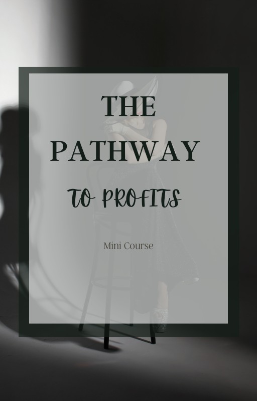 Buy The Pathway To Profits Mini Course (PLR &MRR) by The Faceless Codes on Selar