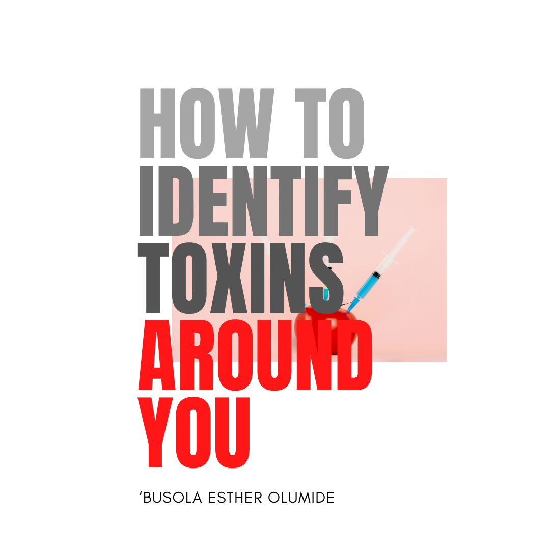 Buy My Toxin Checklist by The Fertility Educator on Selar