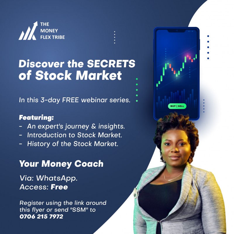 Buy MASTERCLASS ON STOCK MARKET INVESTING by THEMONEYFLEXTIBE on Selar