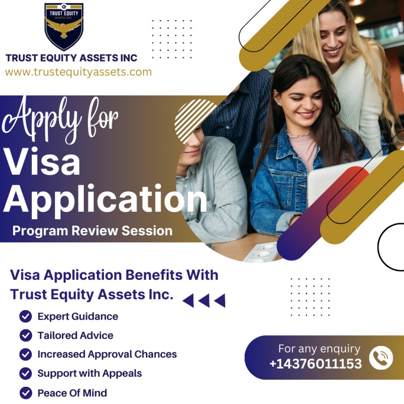 Buy Visa Application and Review Session by Trust Equity Assets Inc on Selar
