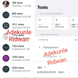 Buy WhatsApp Sales Automation Made Easy by Ifeanyi Paschal Nwankwo on Selar