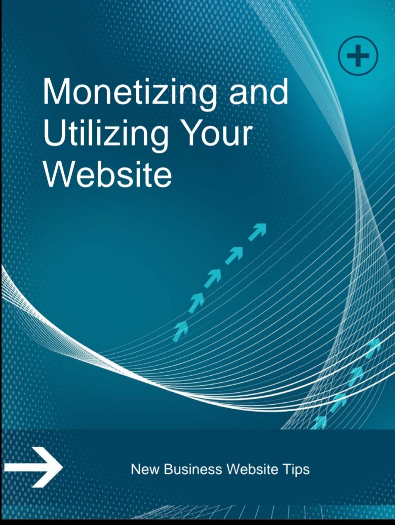 Buy Monetizing and Utilizing Your Website by Ugegbe Gideon on Selar