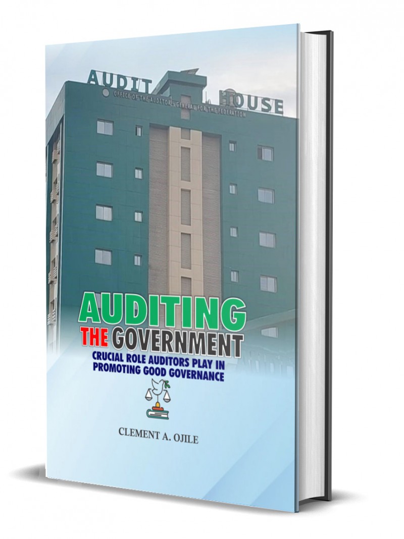Buy AUDITING THE GOVERNMENT: Crucial Roles Auditors Play in Promoting ...