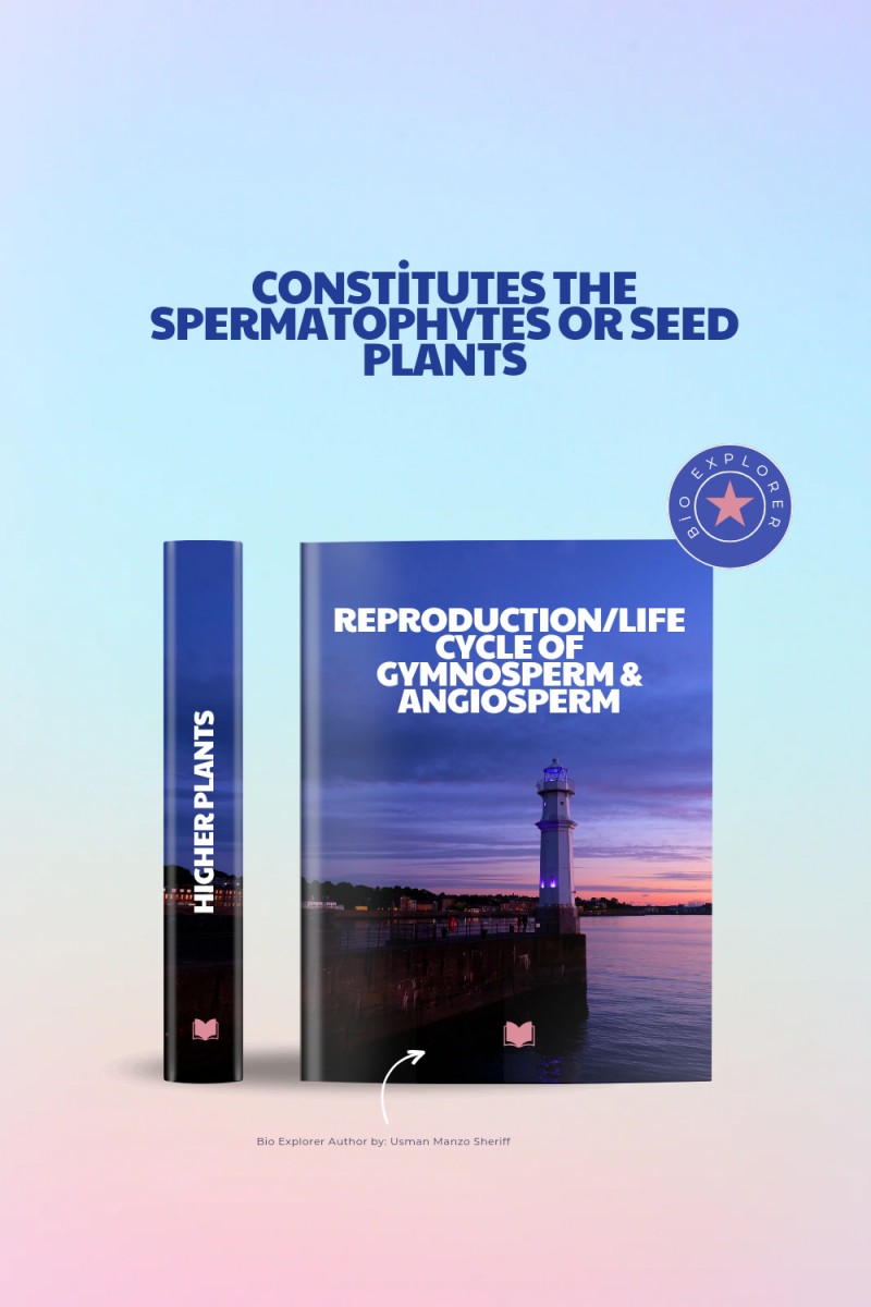 Buy REPRODUCTION LIFE CYCLES IN GYMNOSPERM AND ANGIOSPERM by Usman ...