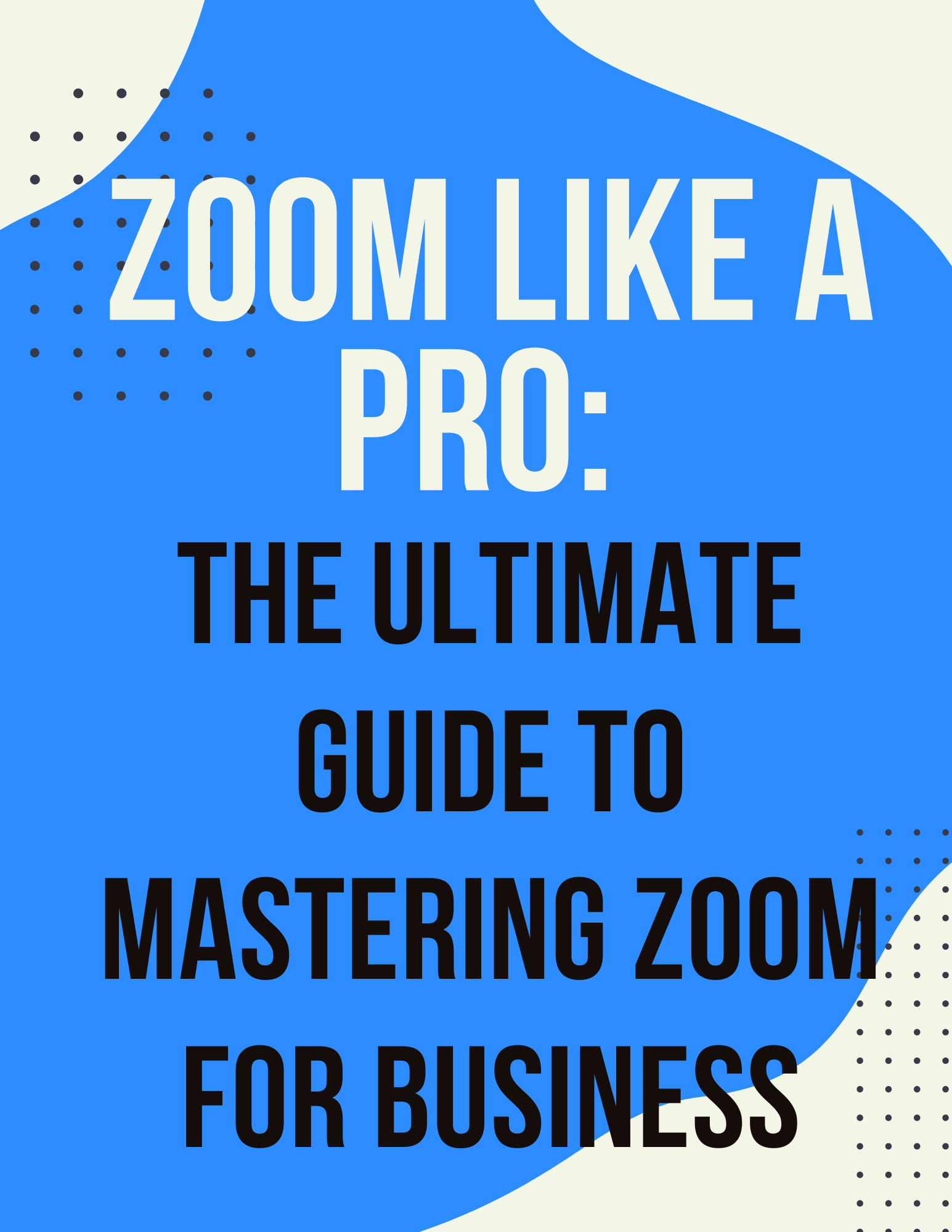 Buy Zoom Like a Pro: The Ultimate Guide to Mastering Zoom for Business ...
